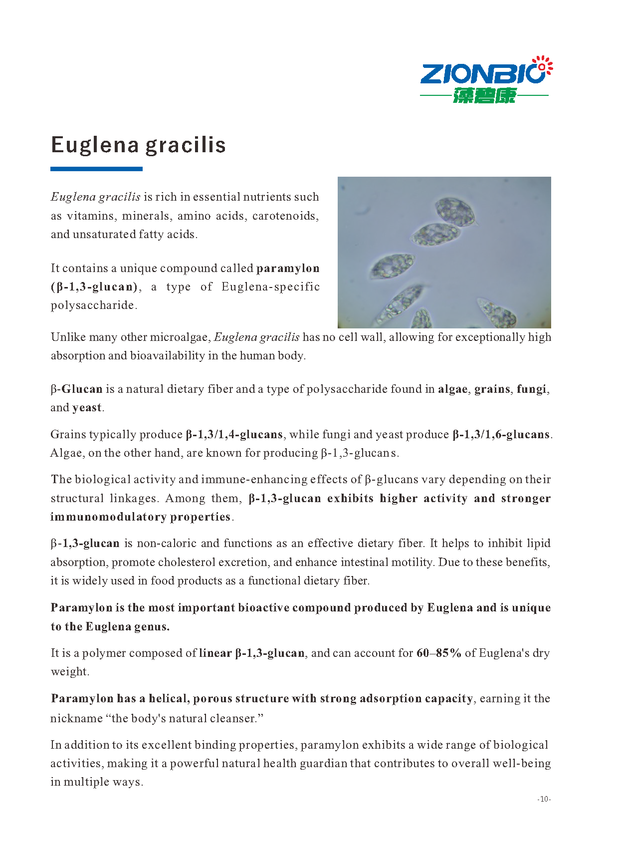 Euglena Powder - 藻碧康/云南保山泽元藻业健康科技有限公司